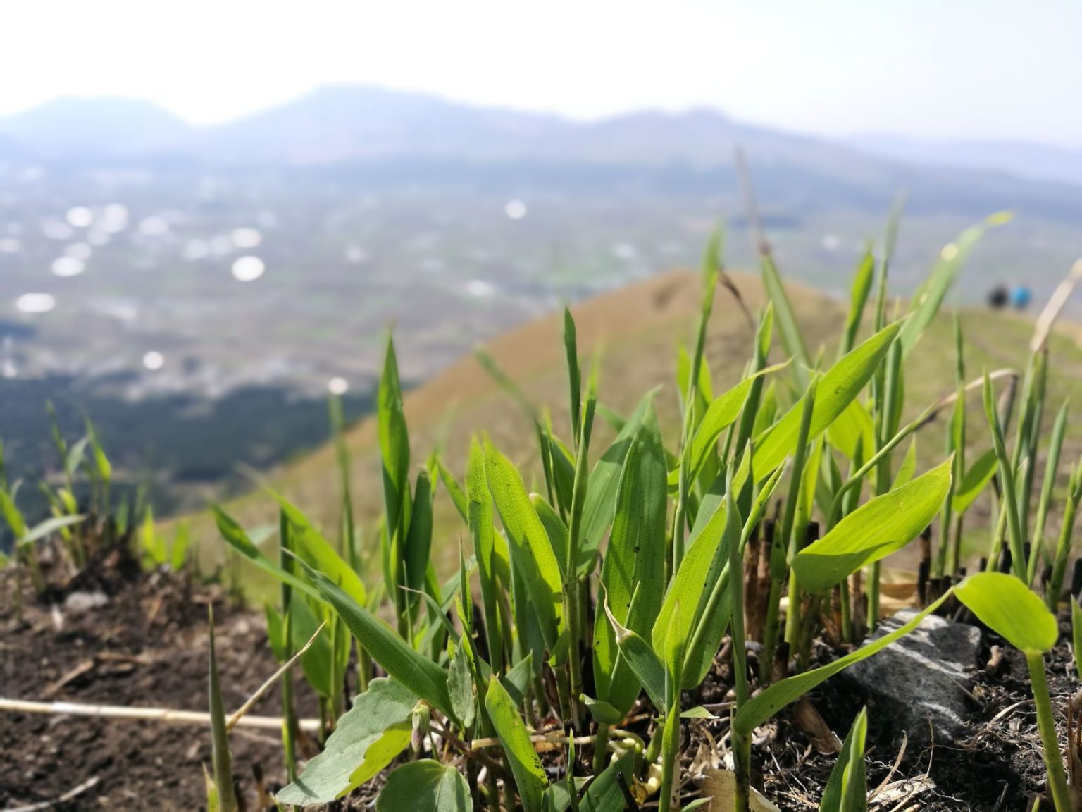 Kusasenri Plateau 草千里 - Explore Kumamoto
