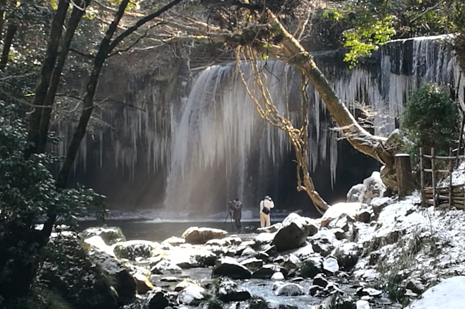 Kumamoto in Winter - Explore Kumamoto