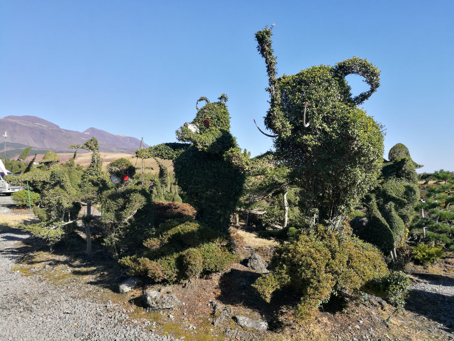 Kusasenri Plateau 草千里 - Explore Kumamoto